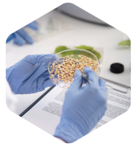Lamda Lab